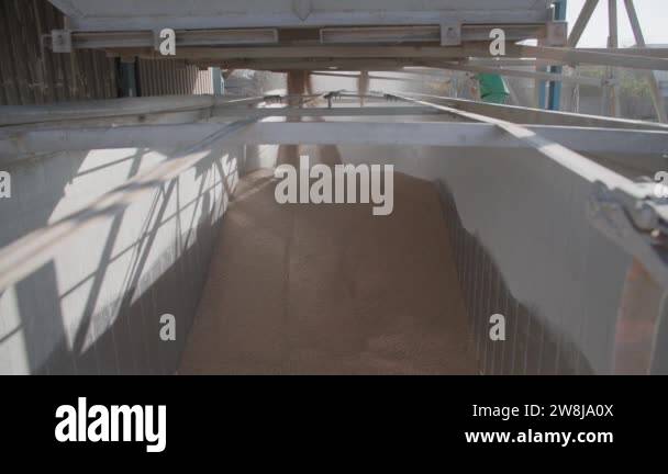 automated cattle farm, process of filling a container with compound ...