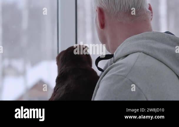 Man falling out window Stock Videos & Footage - HD and 4K Video Clips ...