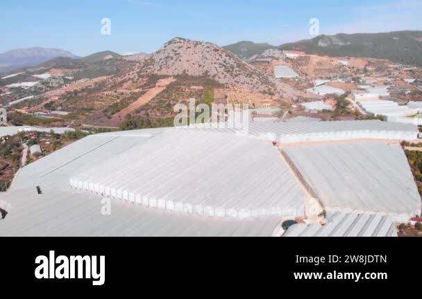 Plantations gardening Stock Videos & Footage - HD and 4K Video Clips - Alamy