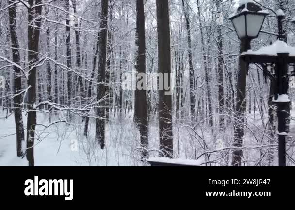 Chilly snow scene Stock Videos & Footage - HD and 4K Video Clips - Alamy