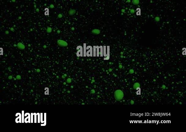 Green volumetric fluorescent particles move and change on a black ...