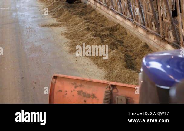 equipment for farmers, tractor with a shovel blade collects hay from ...
