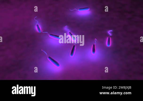 Vibrio cholerae electron microscope Stock Videos & Footage - HD and 4K ...