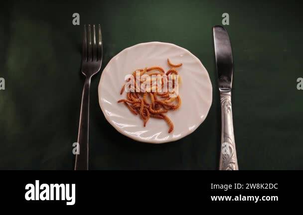 Worm farm glass Stock Videos & Footage - HD and 4K Video Clips - Alamy