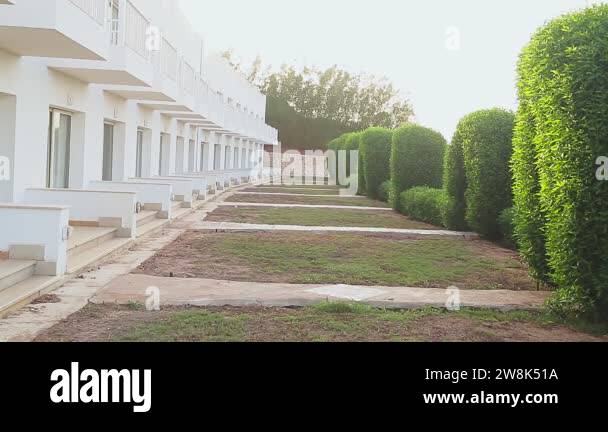 Blooming greenery and palm trees on the sides of the path in the hotel ...