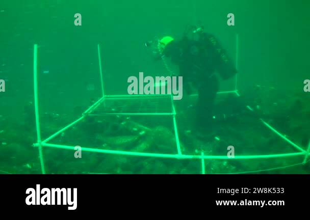 Underwater archeology: sketching an underwater archaeological object ...