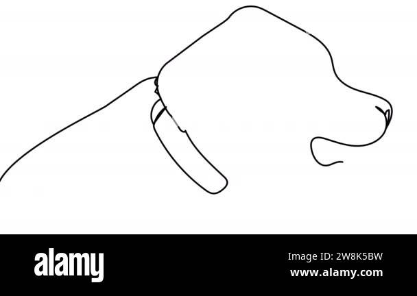 Self drawing Alabai one line on a white background. Animation of the ...