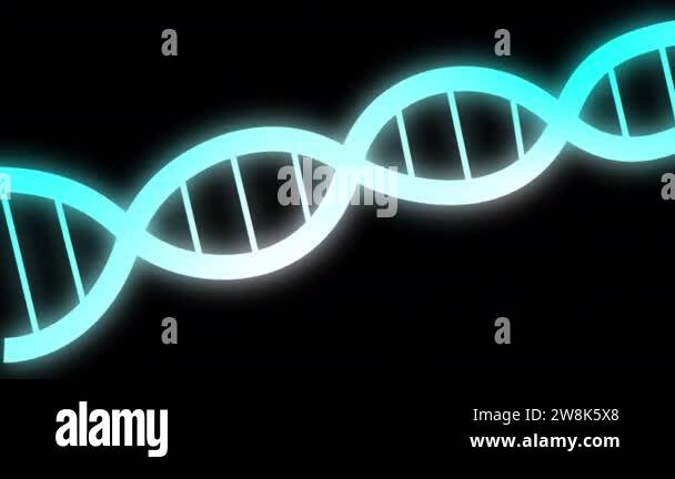 Animation with a rotating neon DNA spiral on a black screen. Human blue ...