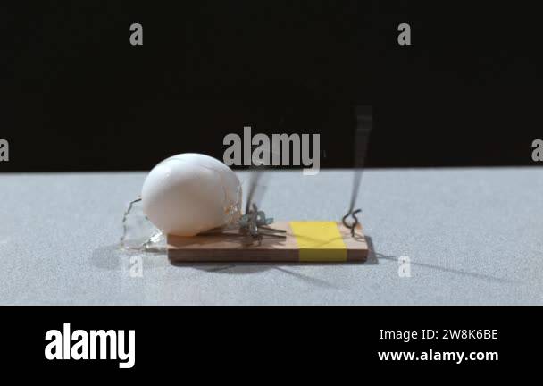 Egg frames Stock Videos & Footage - HD and 4K Video Clips - Alamy