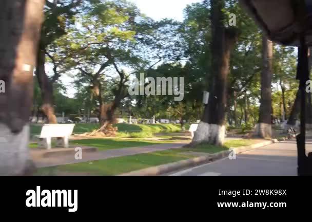 Driving Past Tree Trunks And Benches In Open Car - Pan Left To Right ...