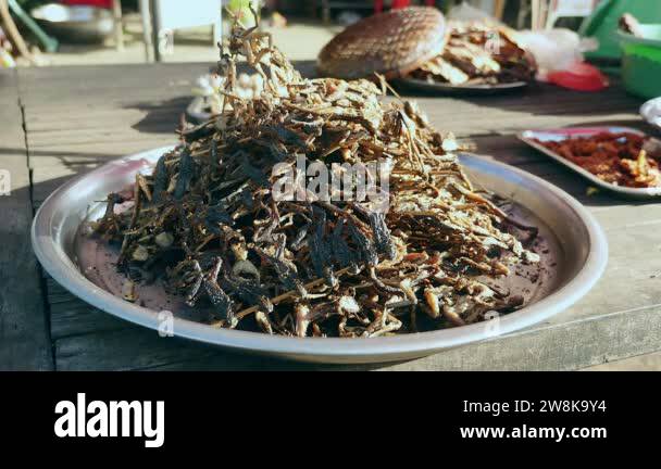 Dried frogs Stock Videos & Footage - HD and 4K Video Clips - Alamy