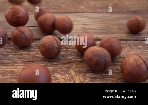 Nuts in shells Stock Videos & Footage - HD and 4K Video Clips - Alamy