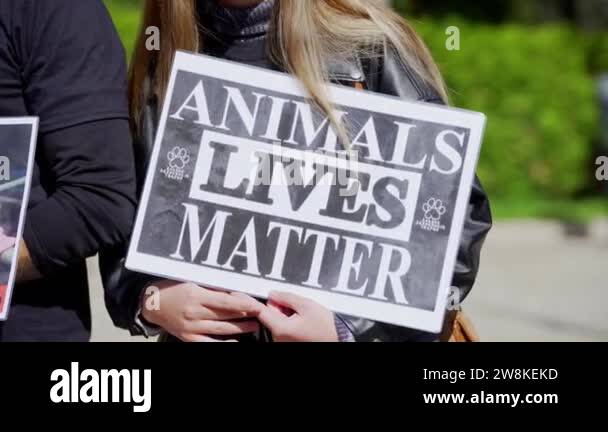 Zoos animal Stock Videos & Footage - HD and 4K Video Clips - Alamy