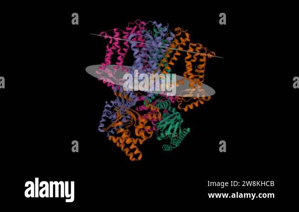 Structure of human HCN1 channel in a hyperpolarized conformation ...