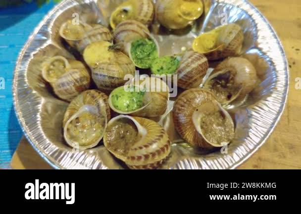 Fried flies Stock Videos & Footage - HD and 4K Video Clips - Alamy