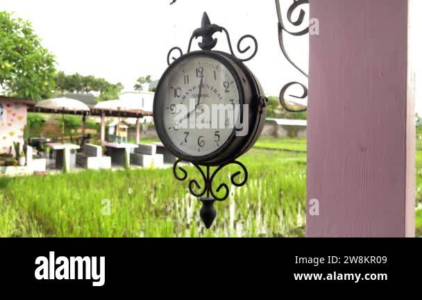 Old vintage clock at rice field at golden hour Stock Video Footage - Alamy