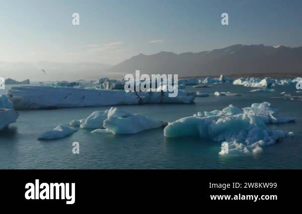 Ice capped birds Stock Videos & Footage - HD and 4K Video Clips - Alamy