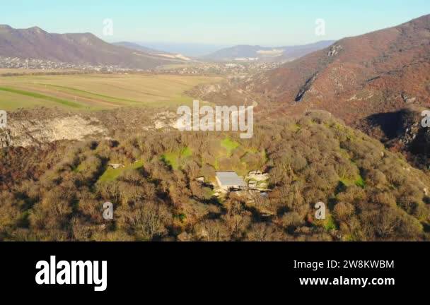 Most famous fossils Stock Videos & Footage - HD and 4K Video Clips - Alamy