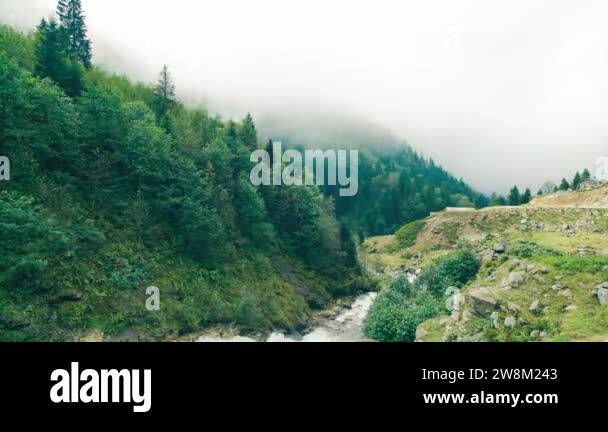 Vale forest Stock Videos & Footage - HD and 4K Video Clips - Alamy