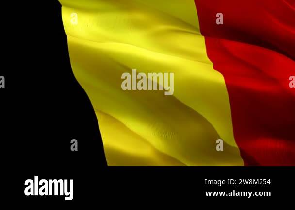 Belgium flag video waving in wind. Realistic Belgian Flag background ...