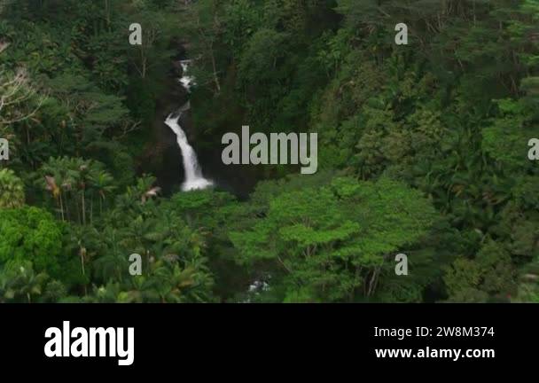 Waterfalls in hilo hawaii Stock Videos & Footage - HD and 4K Video ...