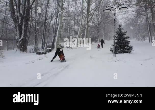 Winter scene sleigh ride Stock Videos & Footage - HD and 4K Video Clips ...