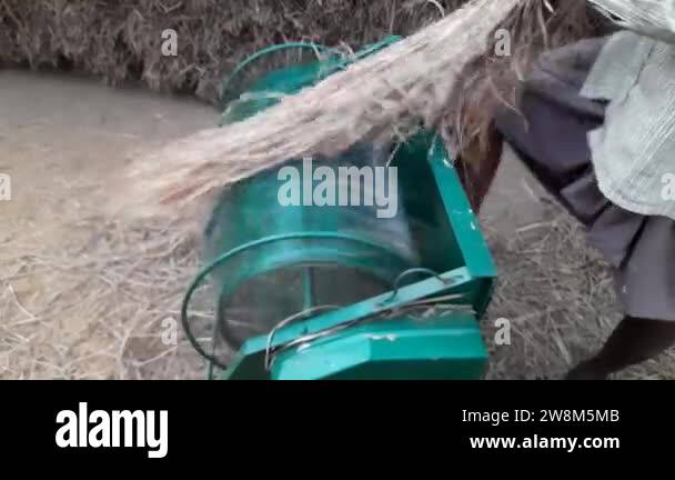 Paddy threshing machine. It is a foot-operated machine.This machine ...