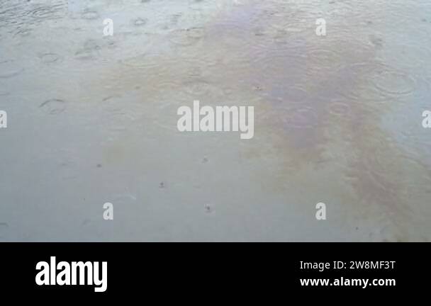 Oil spill rain water Stock Videos & Footage - HD and 4K Video Clips - Alamy