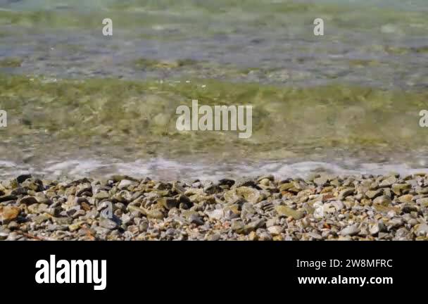 Sea shingle Stock Videos & Footage - HD and 4K Video Clips - Alamy