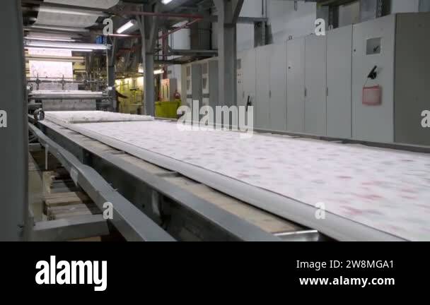 Roll of wallpaper. Conveyor line at wallpaper factory. A roll of ...