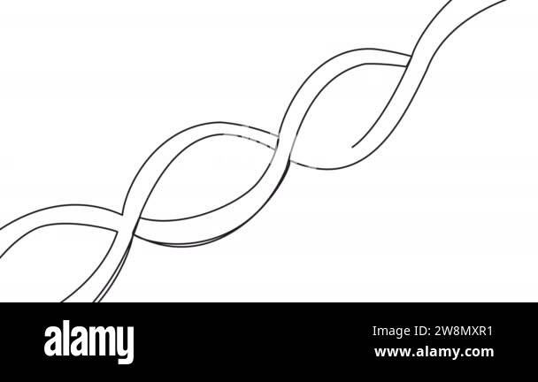 Self-drawing DNA chain one line on a white background. Animation ...