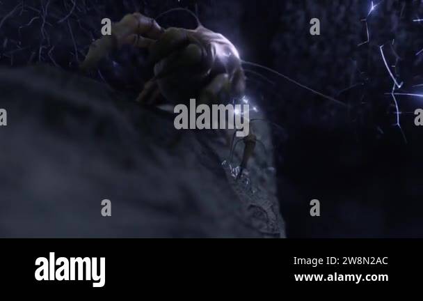 Food web Stock Videos & Footage - HD and 4K Video Clips - Alamy