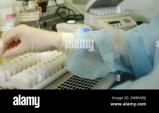 Scientist working in sterile genetics laboratory with pipette in ...