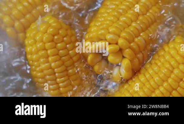 Water maize Stock Videos & Footage - HD and 4K Video Clips - Alamy