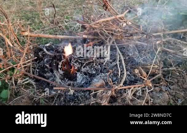 Wooden fire. People of village heating fire in cold weather. Rural area ...