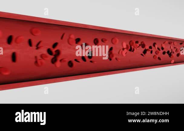 Red blood cells flow inside an artery. Medical scientific concept Stock ...