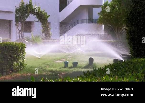 grass irrigation. Lawn irrigation system. lawn sprinkler. irrigation ...