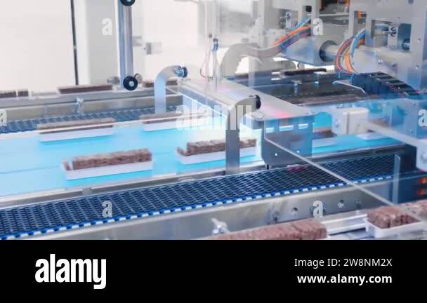 Automated plant, conveyor line. Modern plant. Machines work. Robotic ...