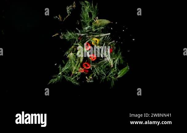 Realistic herbs Stock Videos & Footage - HD and 4K Video Clips - Alamy