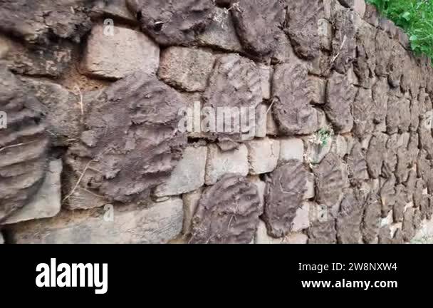 Cow Dung Cakes or gobar upla used as fuel for making food in villages ...