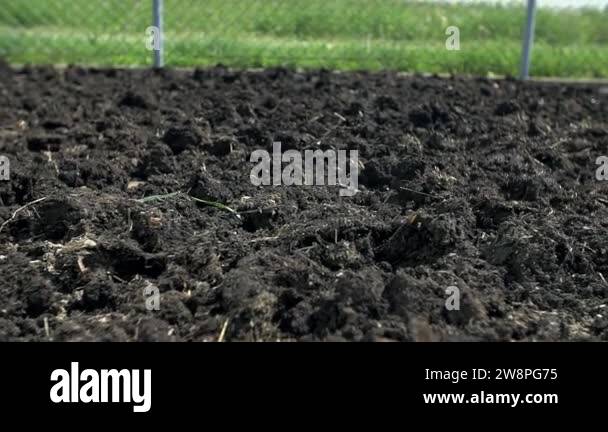 Green manure digging in Stock Videos & Footage - HD and 4K Video Clips ...