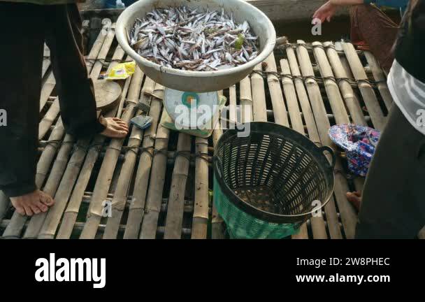 Fisher and customer weighing fresh fish catch on a bamboo raft Stock ...