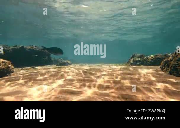 The seabed is sandy with stones in shallow water without fish. Scenario ...