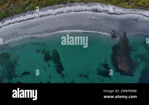 Crescent cove beach Stock Videos & Footage - HD and 4K Video Clips - Alamy
