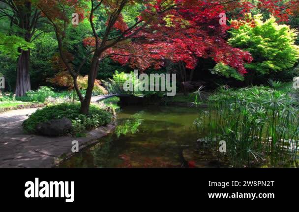 Lake como style Stock Videos & Footage - HD and 4K Video Clips - Alamy