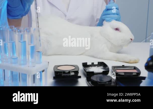 Scientific experiments on animals in the laboratory Stock Video Footage ...