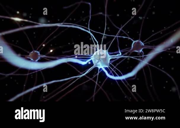 Human brain nerve cell Stock Videos & Footage - HD and 4K Video Clips ...