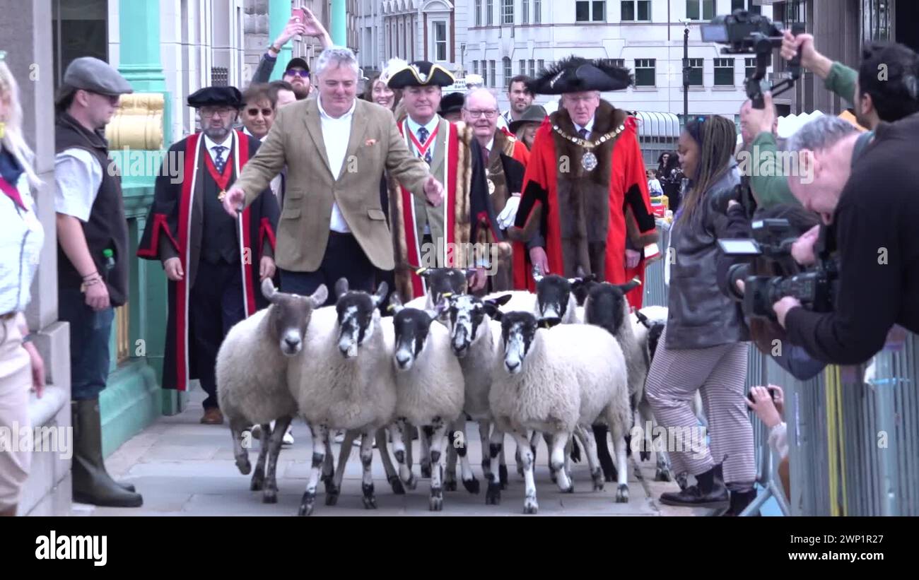 London sheep Stock Videos & Footage - HD and 4K Video Clips - Alamy