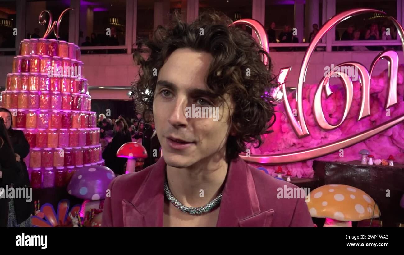 25 red carpet Stock Videos & Footage - HD and 4K Video Clips - Alamy