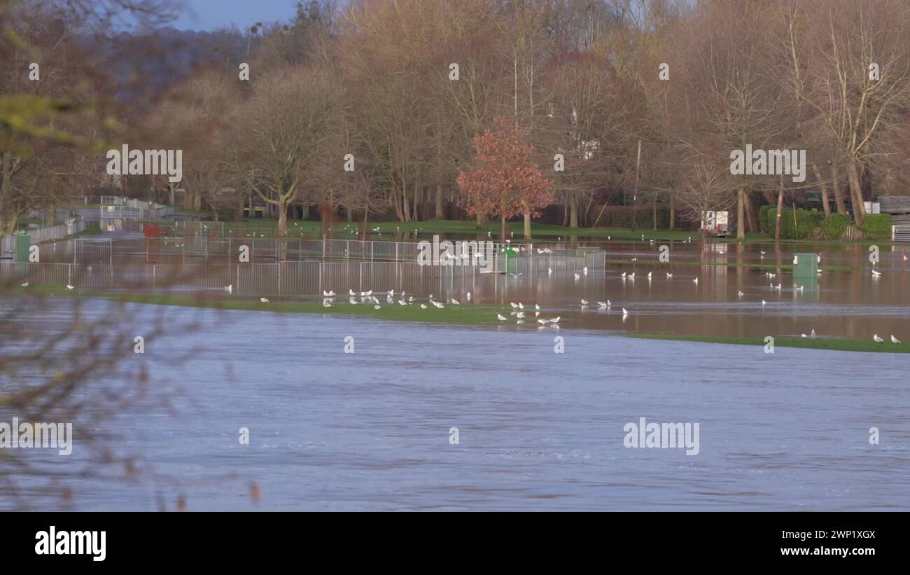 Flooding in Henley-on-Thames as Storm Henk continues to cause chaos ...